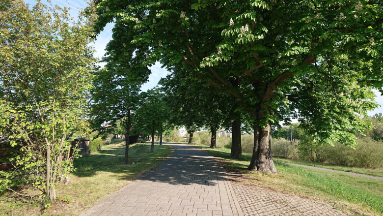 Volunteer | Singularity Group